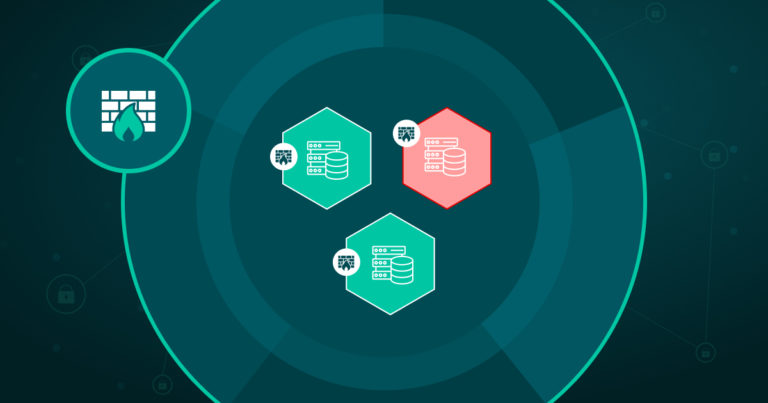 When One Vulnerability Breaks the Internet - ColorTokens